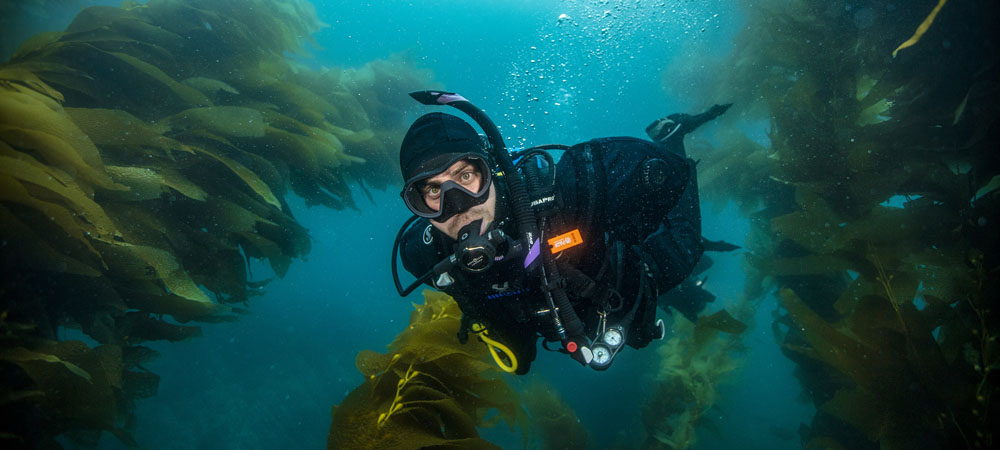 image-11 - PADI Pros