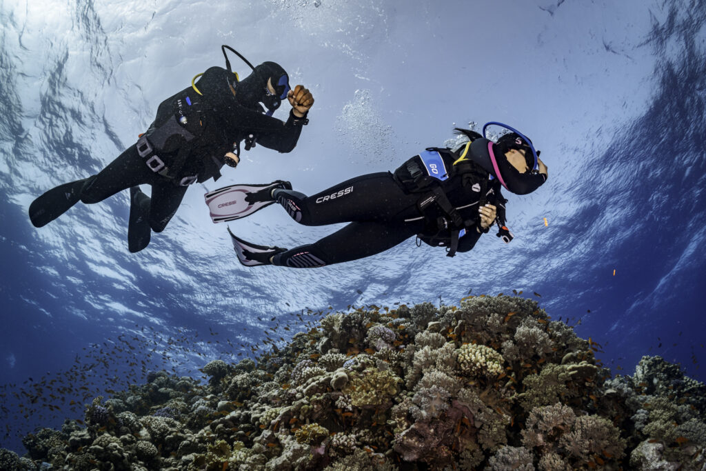 What Is the Value of PADI Club? - PADI Pros