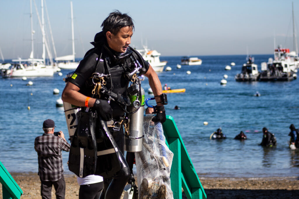 Understanding PADI Eco Center: How To Demonstrate Exemplary ...