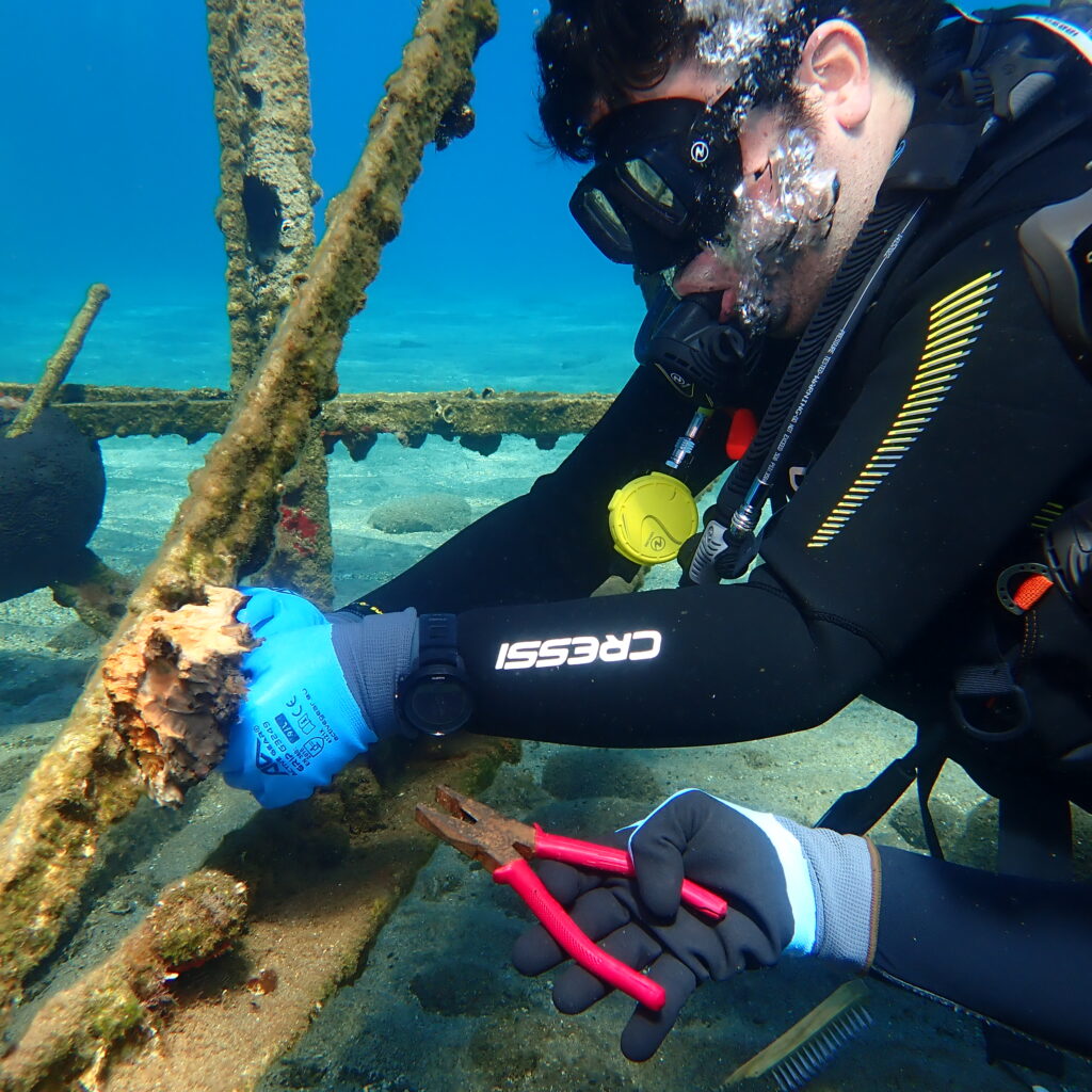 Sponge project - PADI Pros