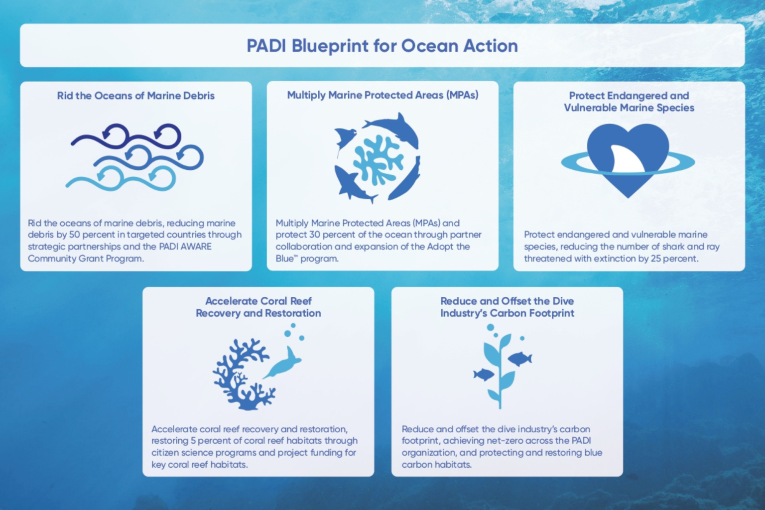 Professional Membership That Makes a Difference - PADI Pros
