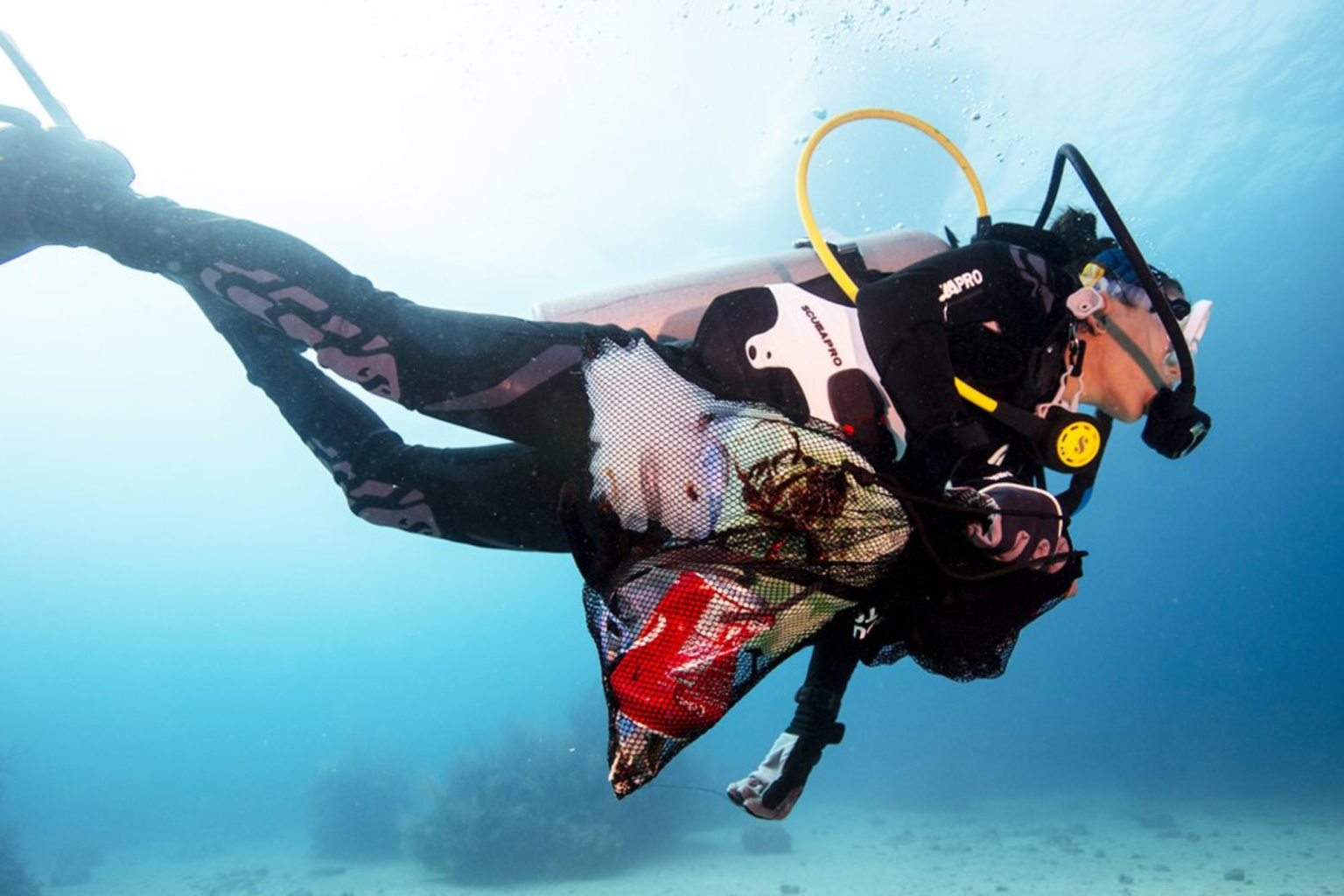 Professional Membership That Makes a Difference - PADI Pros