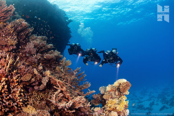 Go Beyond with the Newly Revised PADI Tec Diver Program