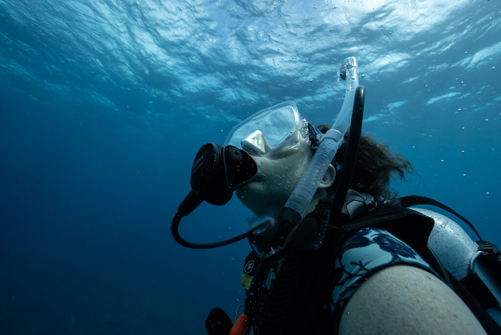 Product Updates Archives - PADI Pros