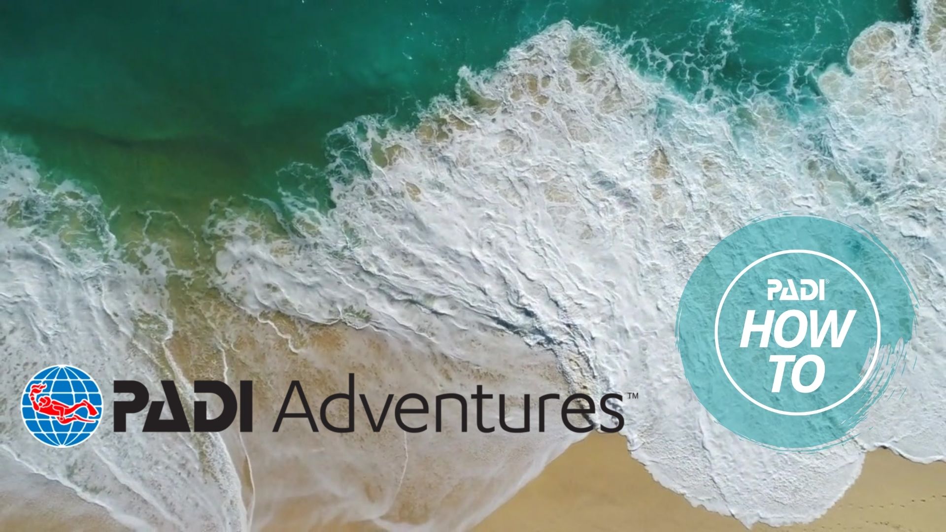 Scopri il potenziale di PADI Adventures: le nostre video-guide per ...