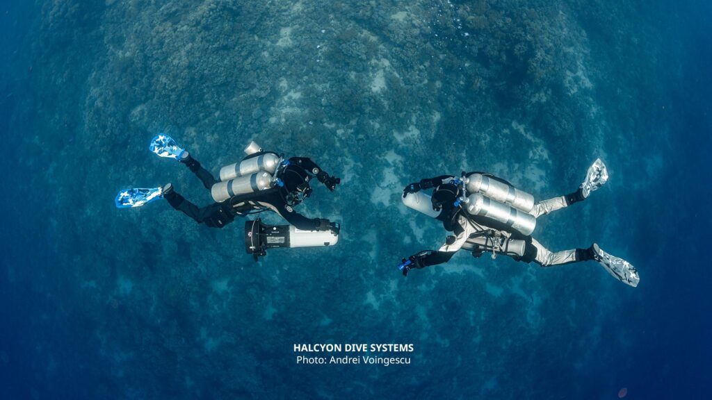 PADI Divemaster – The Only Professional-Level Certification You Need To Guide Tec Divers and ...