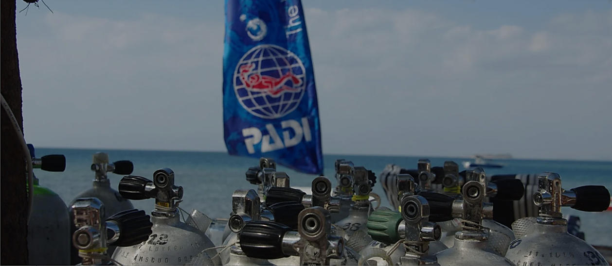 PADI - PADI Pros