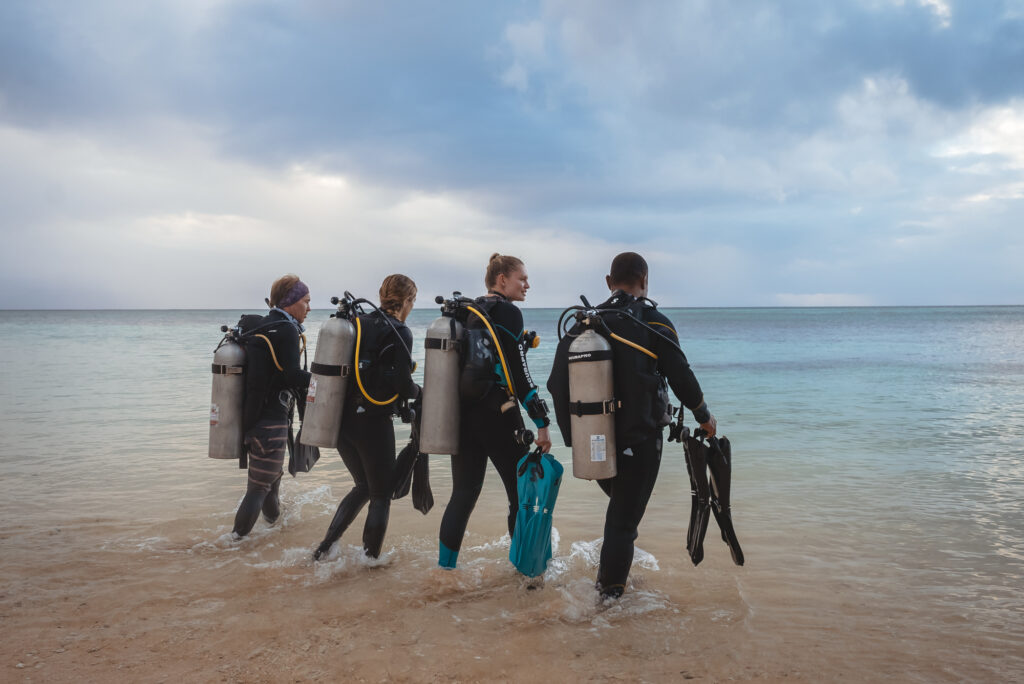 all articles - PADI Pros