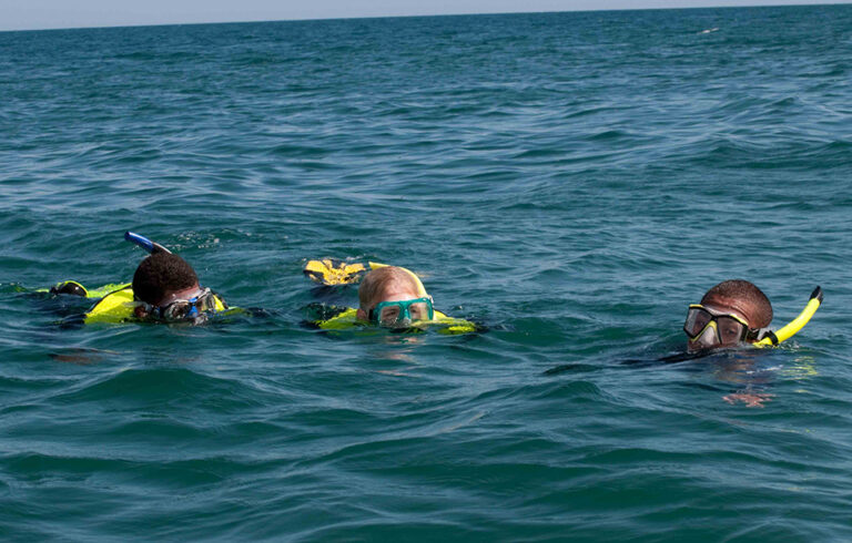 Snorkel Guides Are Here: Introducing the New PADI Snorkel Guide Course ...