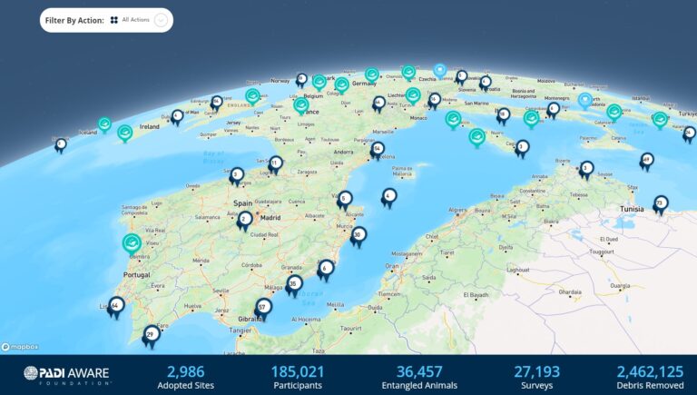 How to Take Action With Dive Against Debris: Activate Your New PADI ...