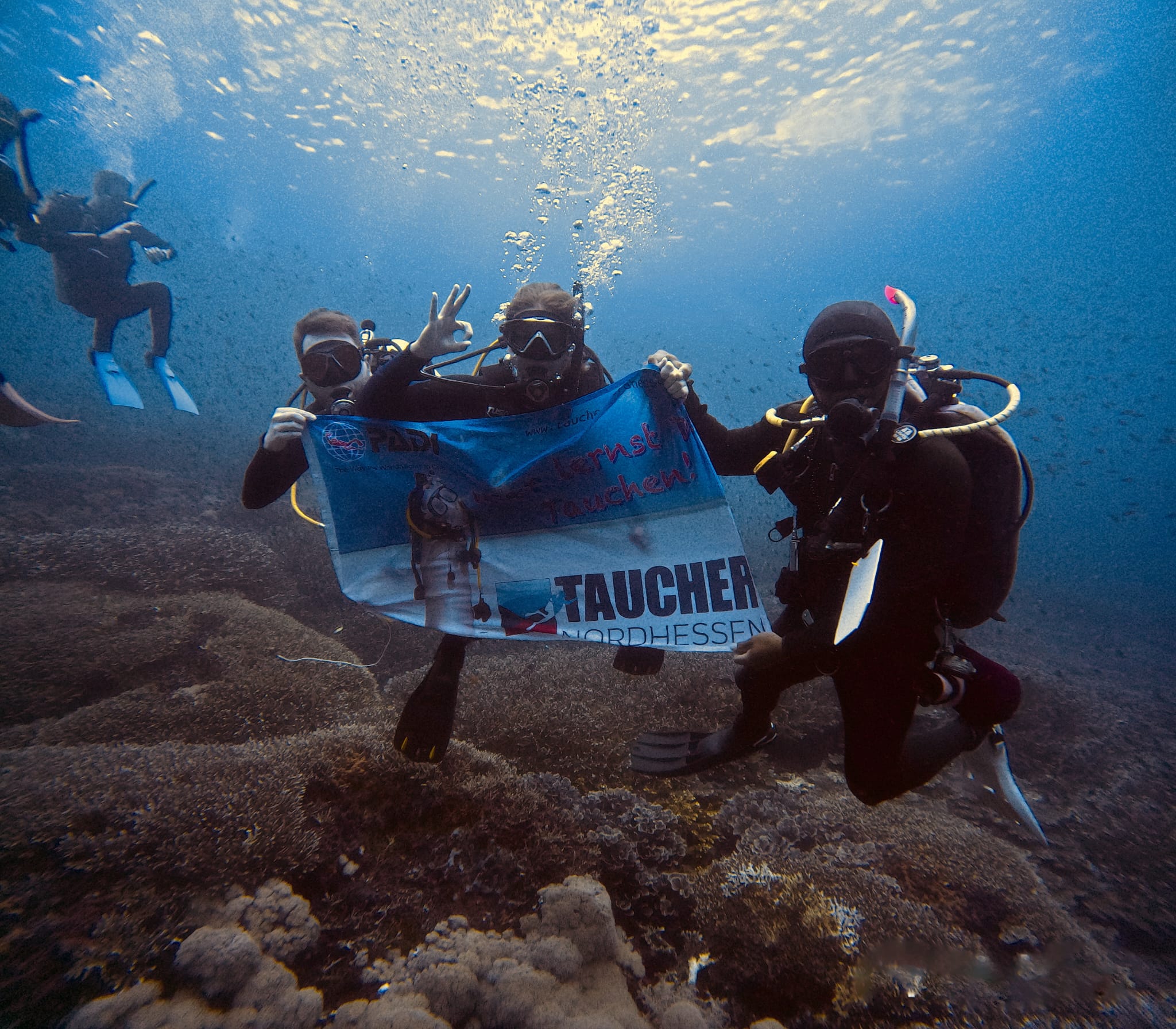 My PADI Helps Me...IMPLEMENT OUR VISION OF A PROFESSIONAL DIVE CENTER ...