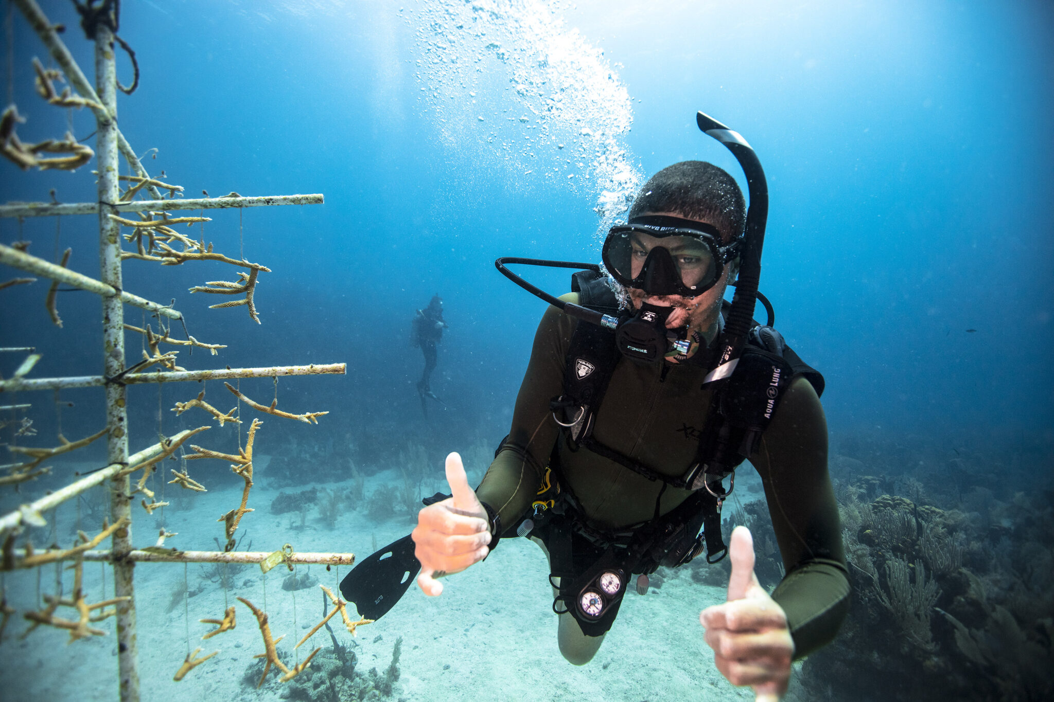 Home - PADI Pros