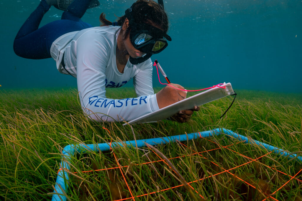5 Dinge, die Du als PADI Pro für die Umwelt tun kannst - PADI Pros