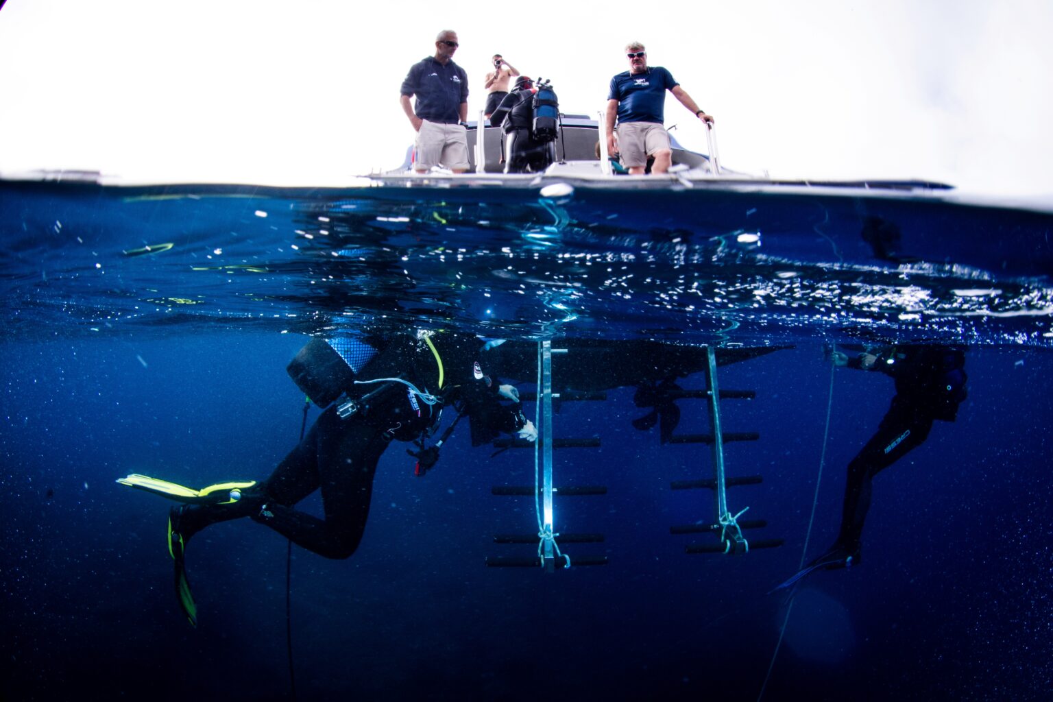 PADI Americas Instructor Development Program Opportunities for 2025 ...