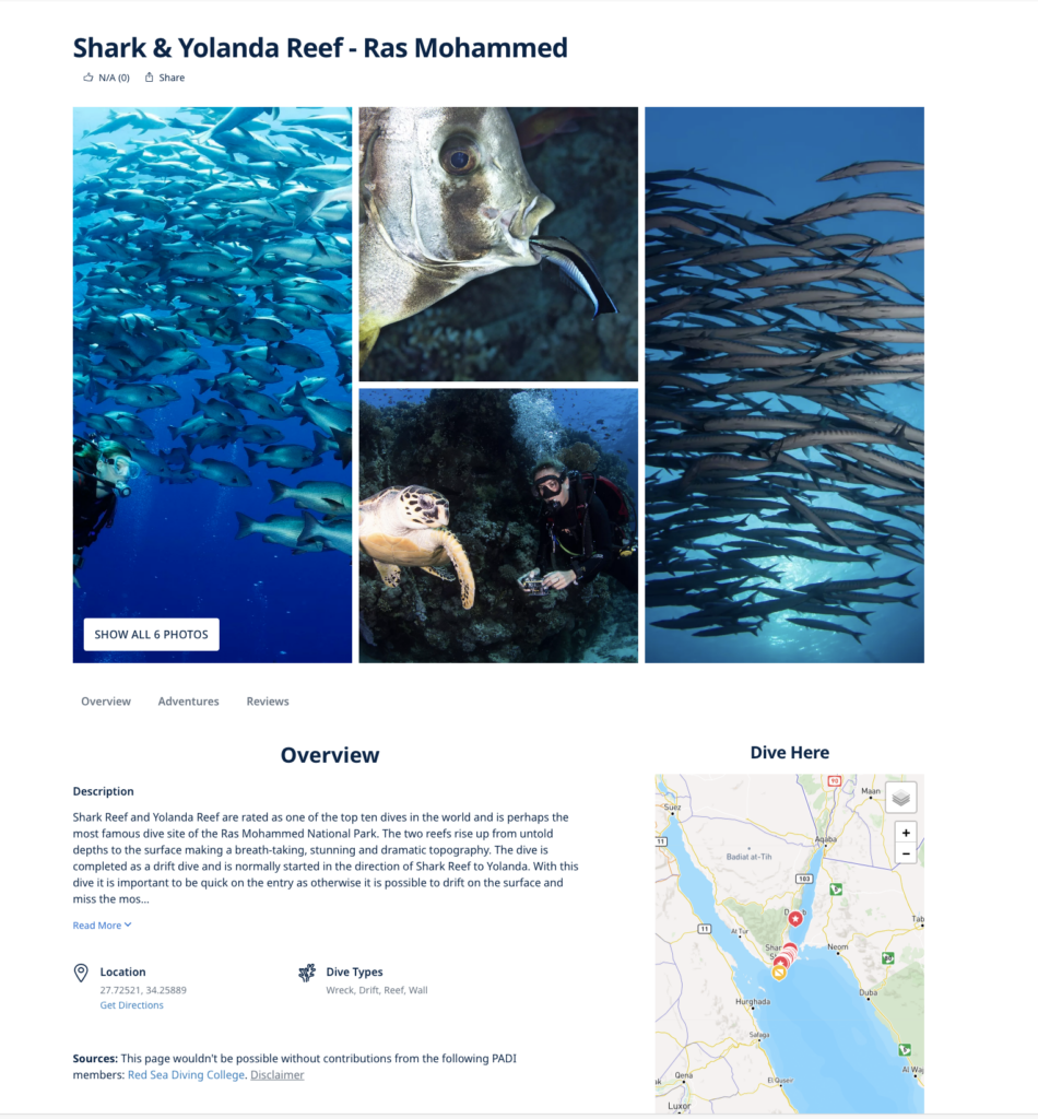 Turn Local Knowledge Into Global Bookings: Make the Most of the Dive ...